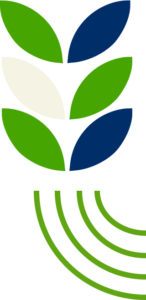 Innovative solutions from rice | Ebro Ingredients