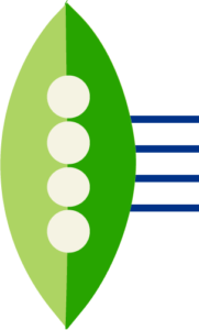 Innovative pulse ingredients | Ebro Ingredients
