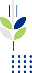 Other Ingredients | Ebro Ingredients