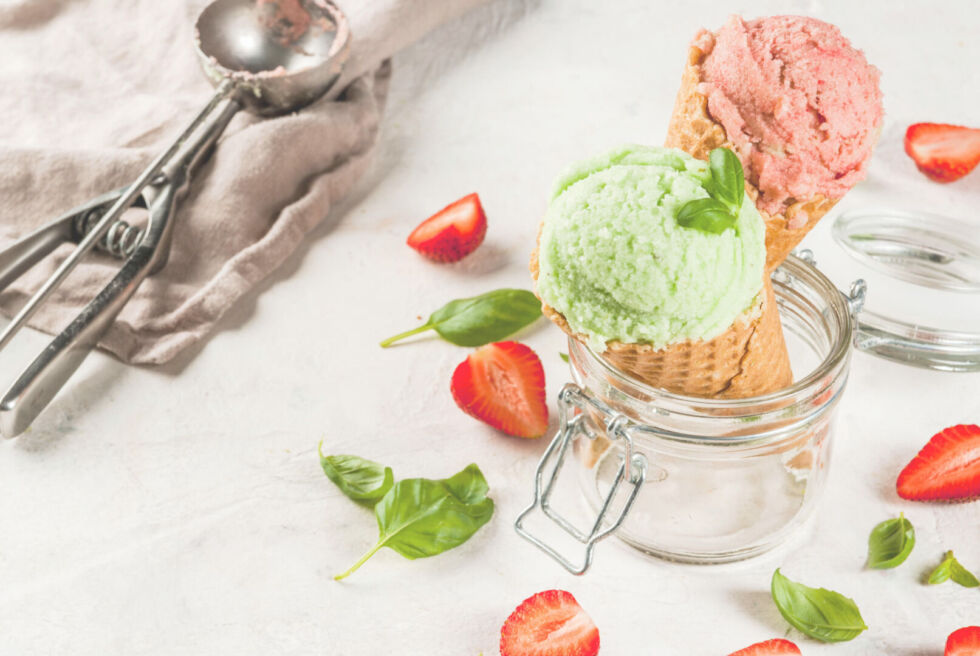 Indulge in Refreshing Vegan Ice Cream | Ebro Ingredients